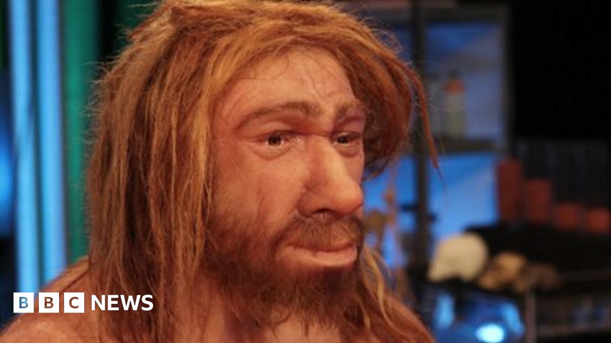 How scientists recreated Neanderthal man - BBC News