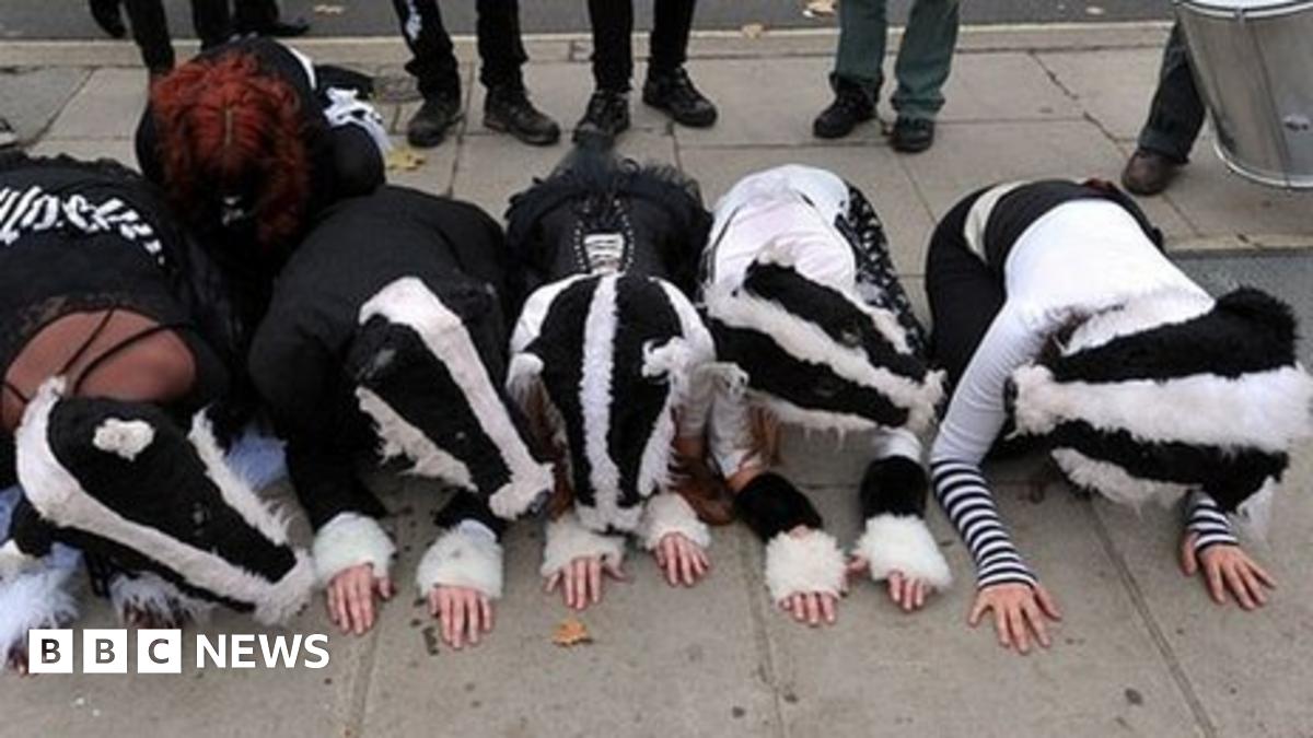 Badger cull: A stay of execution? - BBC News