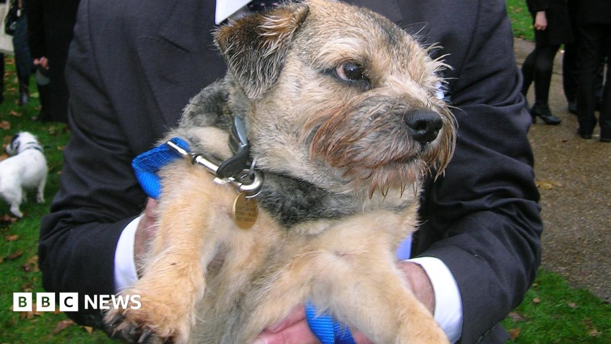 Quiz: Match the MP and their dog - BBC News