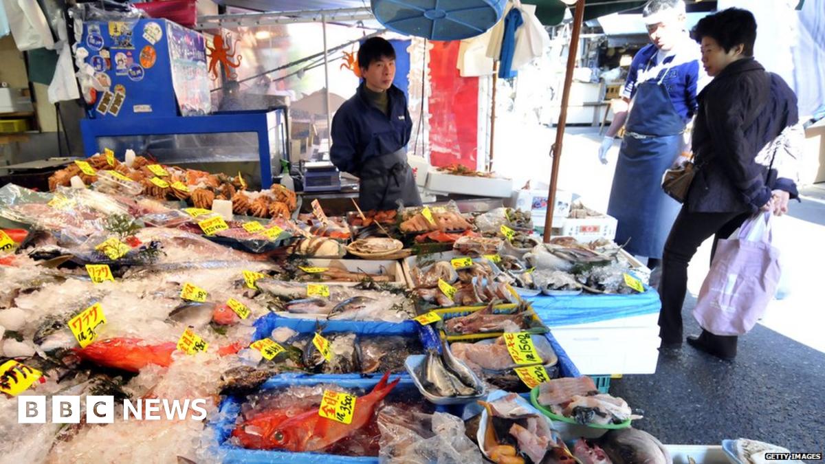 Fukushima fish still contaminated from nuclear accident - BBC News
