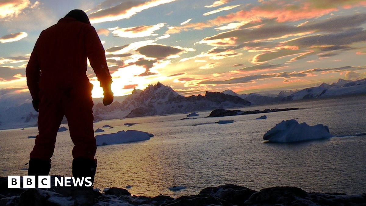 Scriptwriter's mum too scared to watch Antarctic horror - BBC News