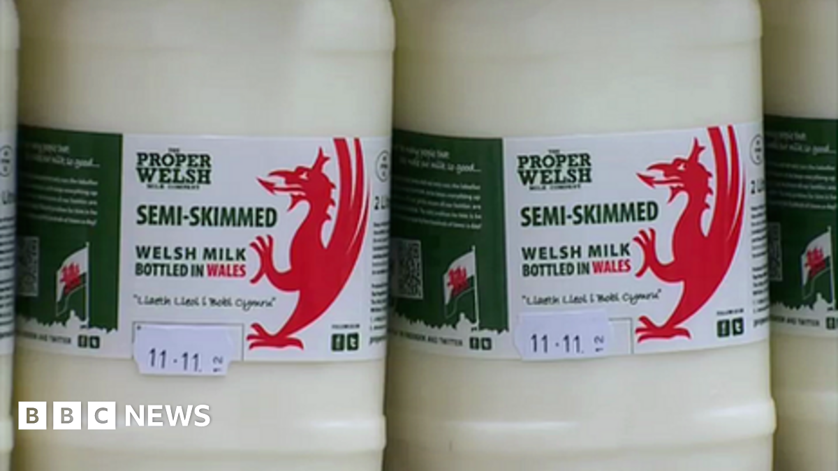 Proper Welsh Milk dairy pays farmers 3p more for milk - BBC News