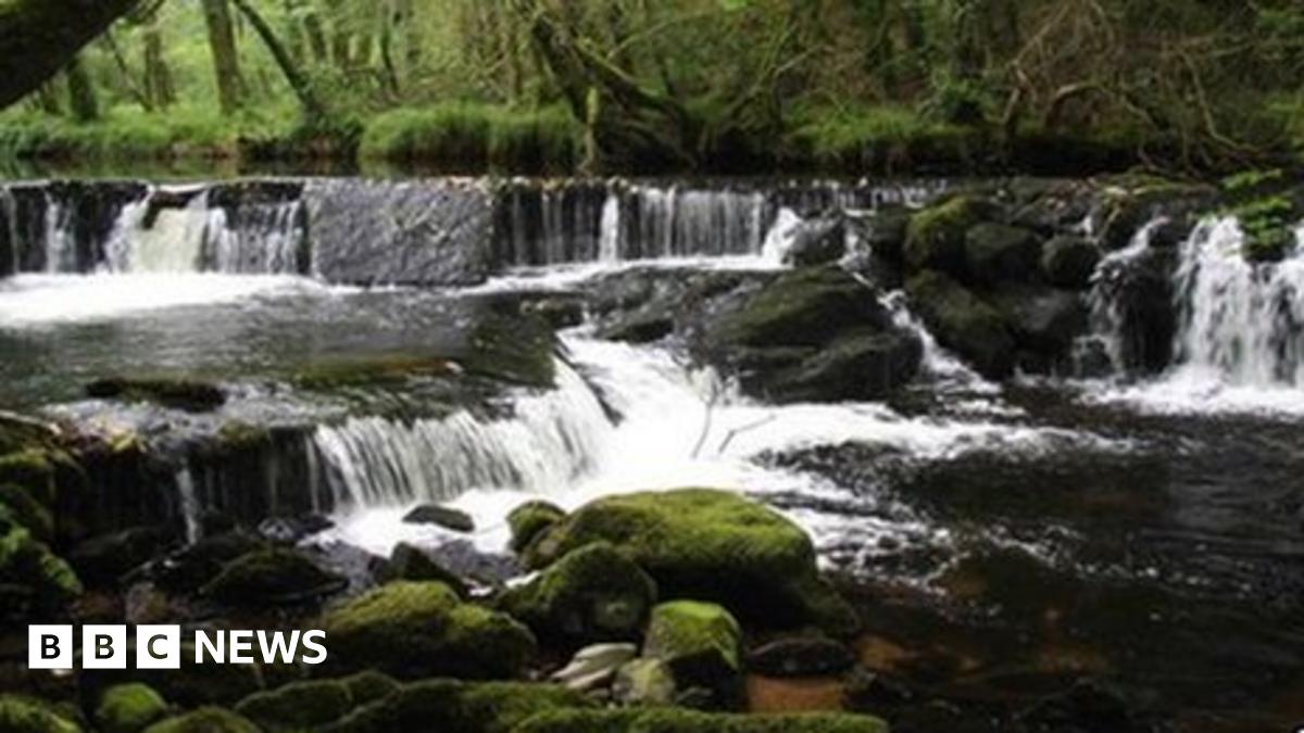 River Walkham hydro-electric scheme gets go-ahead - BBC News