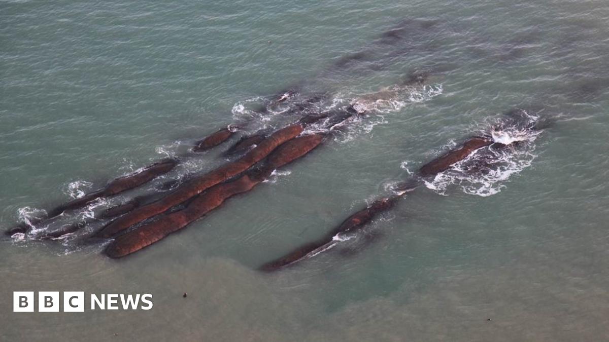 Boscombe surf reef 'set for April reopening' - BBC News