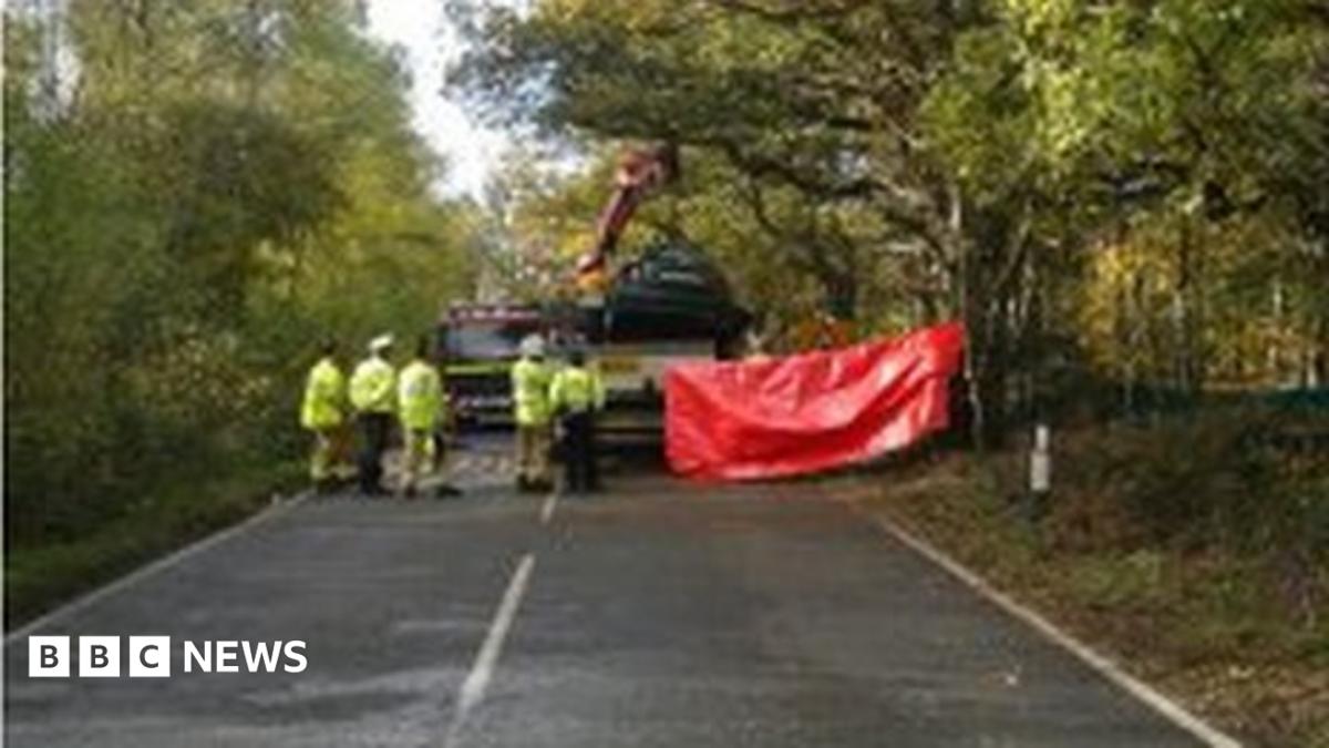 Driver killed in Padworth Common tree crash - BBC News