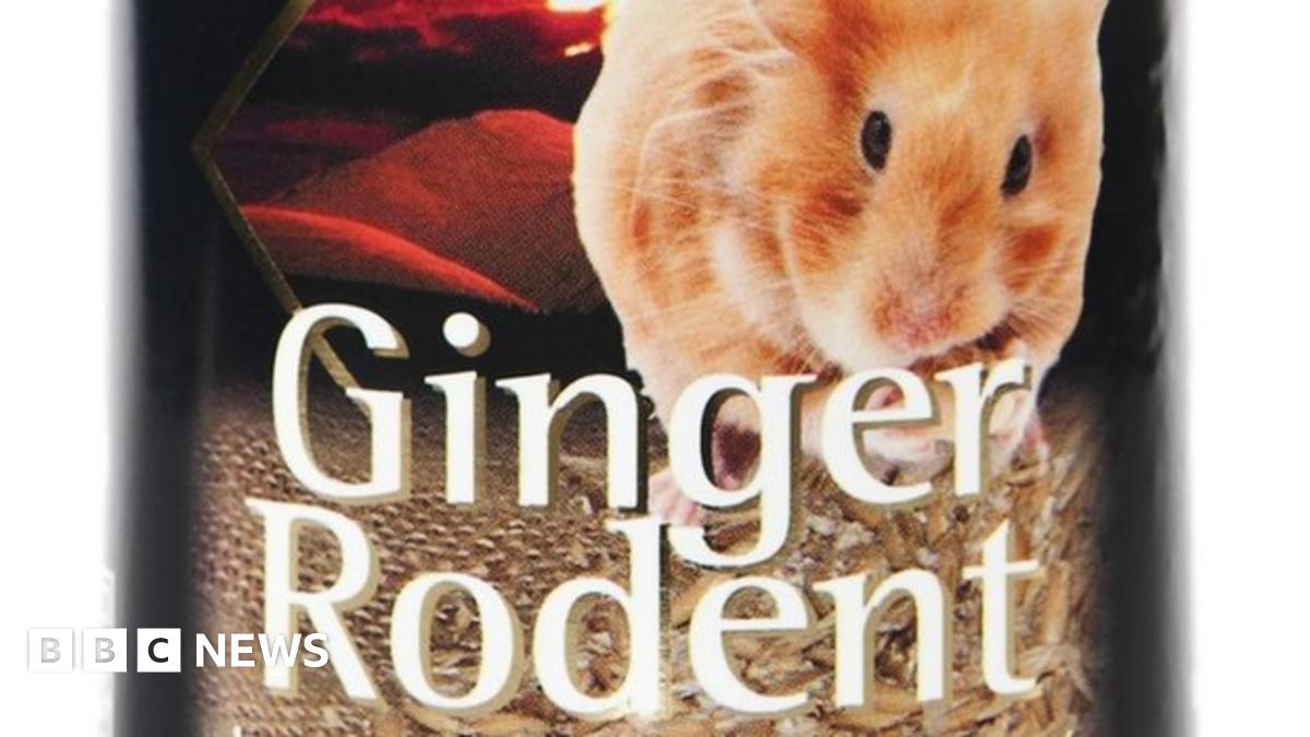 'Ginger Rodent' beer inspired by Danny Alexander served in Commons ...