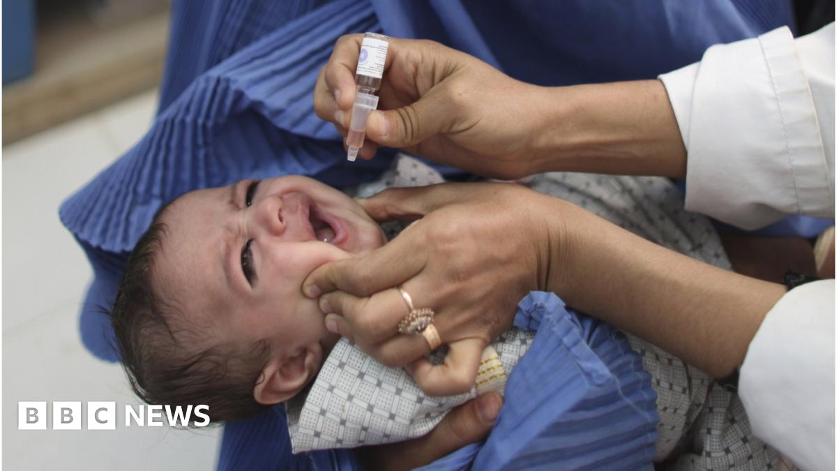 Babies to get 'gut bug vaccine' - BBC News