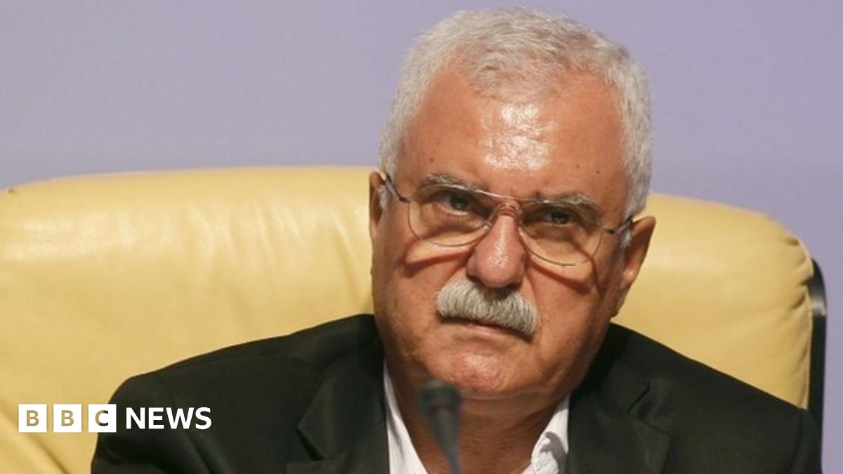 Profile: Syrian National Council chairman George Sabra - BBC News