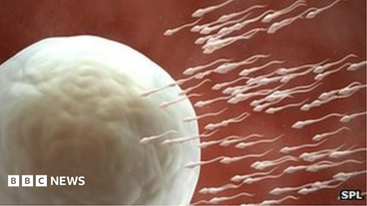 Belfast breakthrough offers hope to infertile couples - BBC News