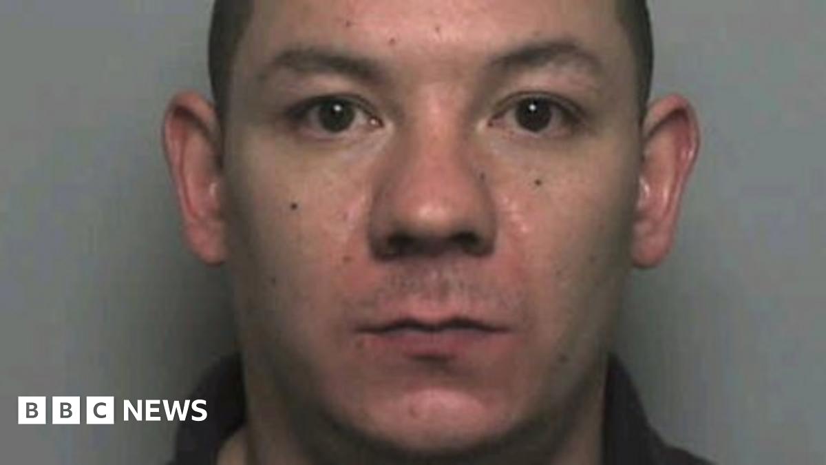 Hit-and-run driver Christopher Chan pleads guilty - BBC News