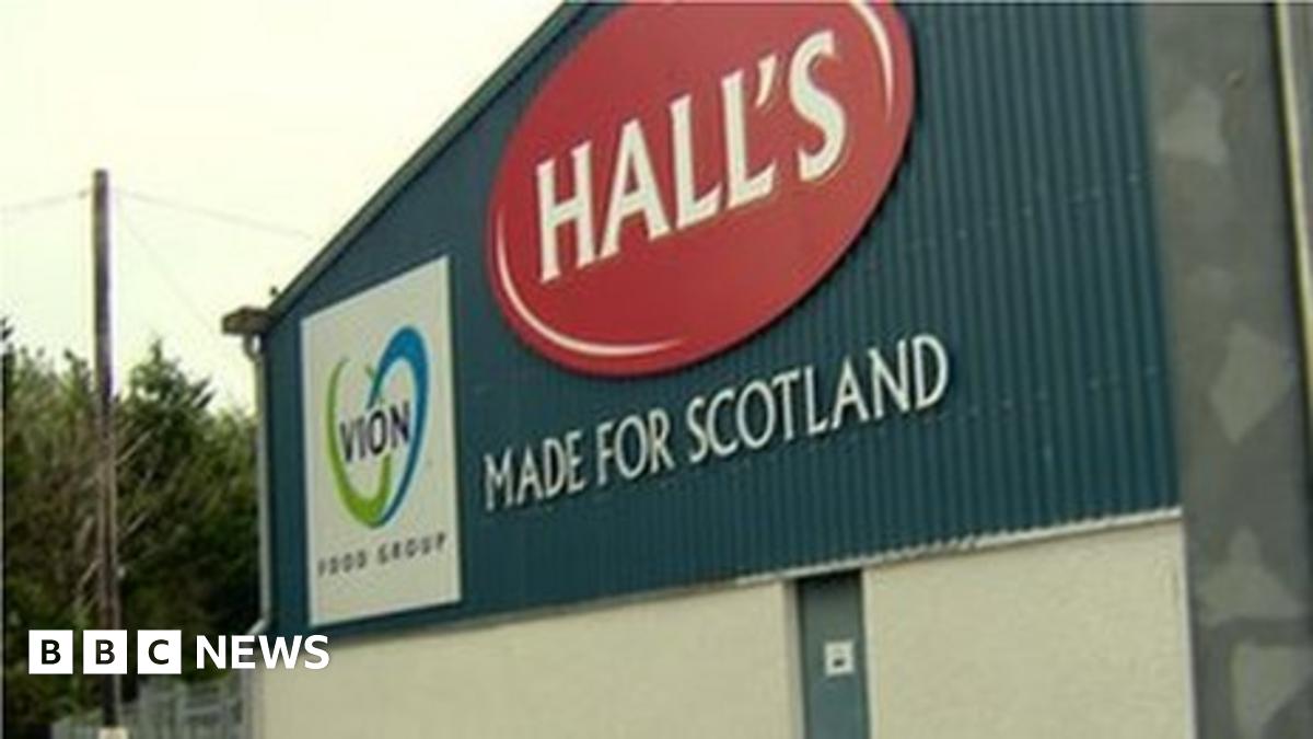 Vion NV food producer to sell UK businesses - BBC News