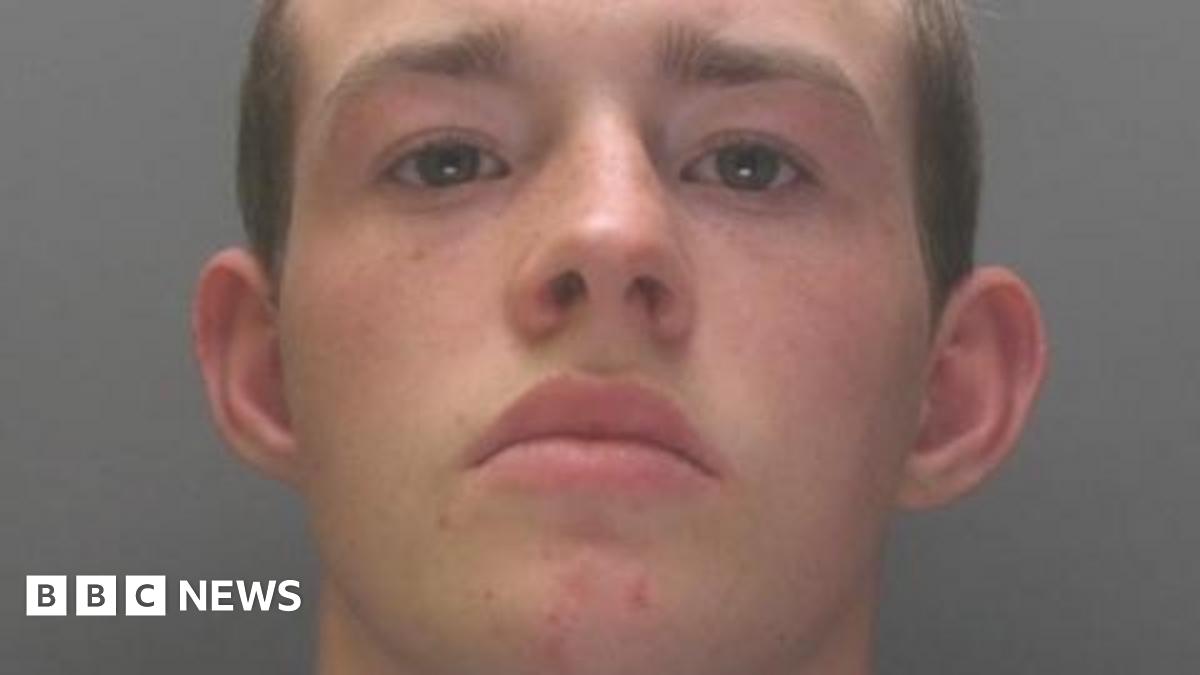 Hannah Windsor murder: Adam Lewis pleads guilty - BBC News