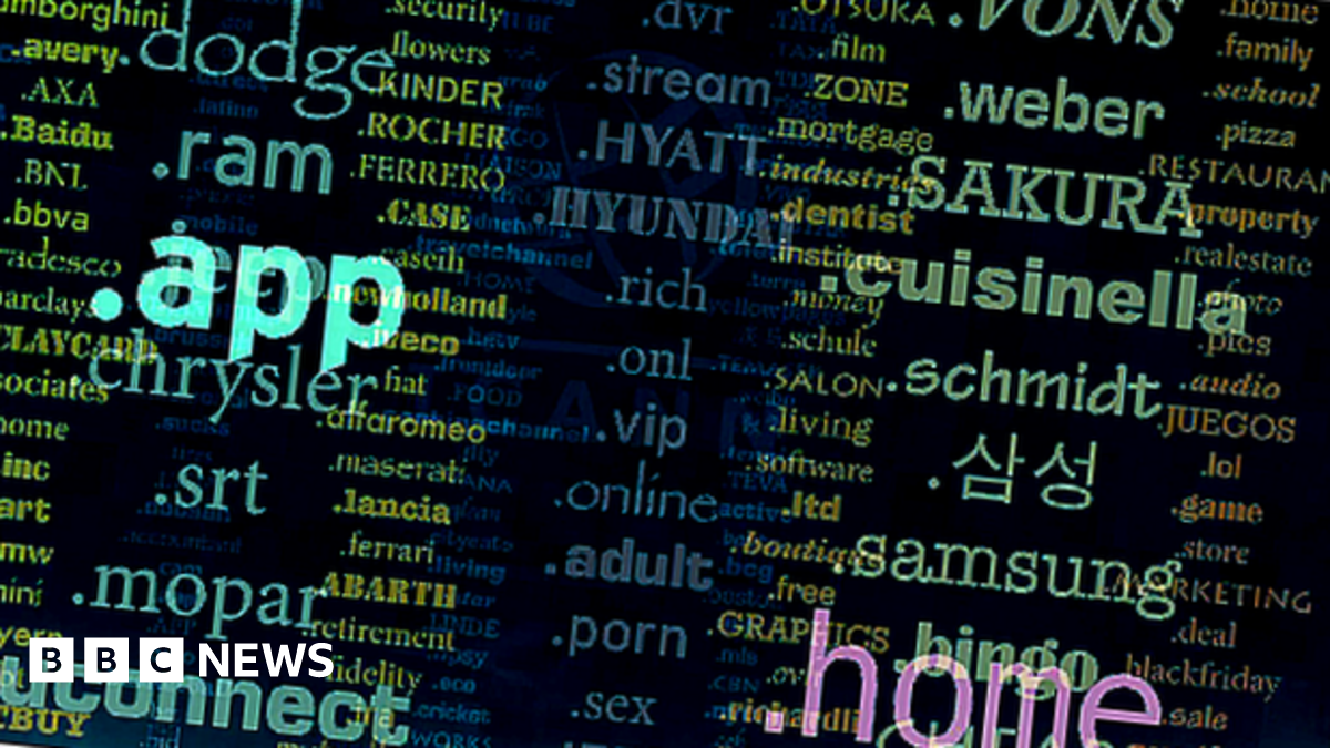 New internet name objections filed by government panel - BBC News