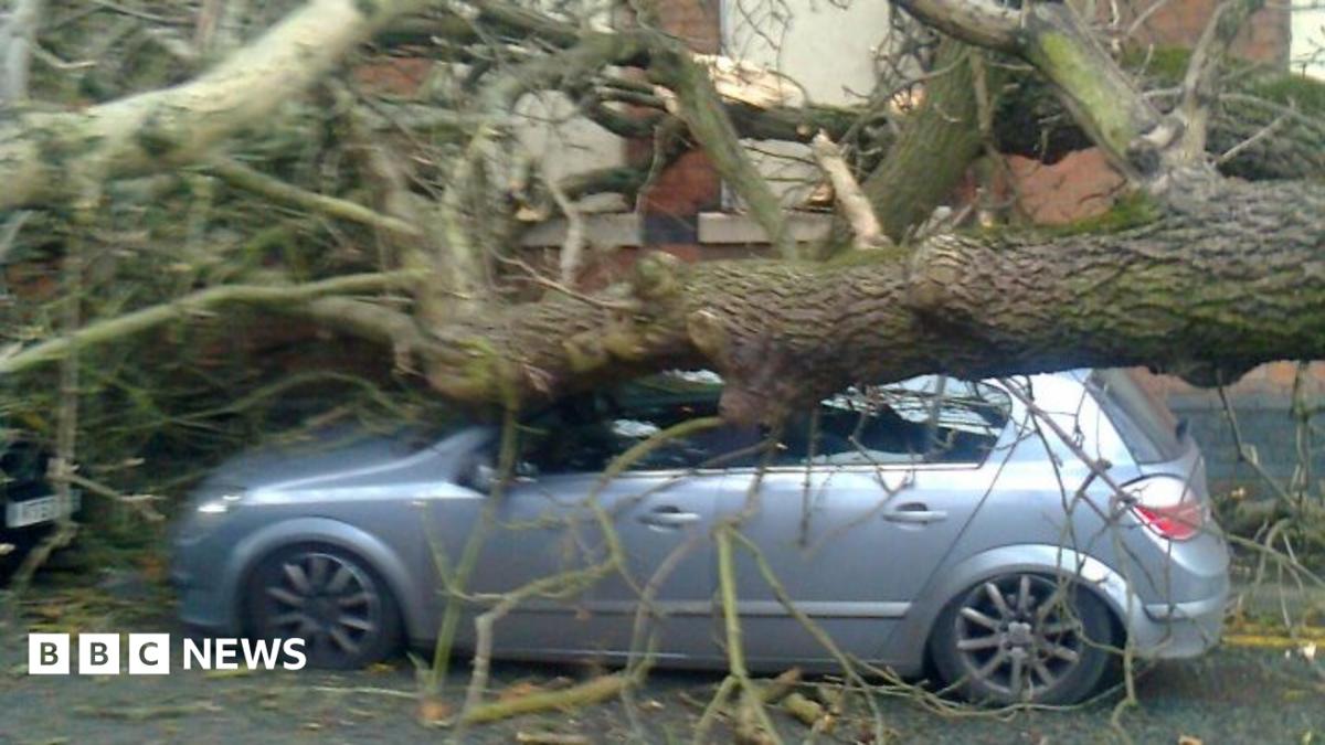 West Midlands: Weather damage clear up begins - BBC News