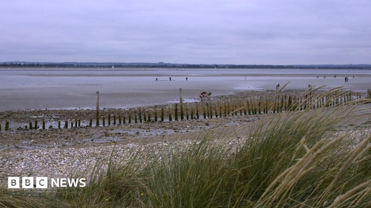 Chichester beaches warning over washed-up 'white balls' - BBC News