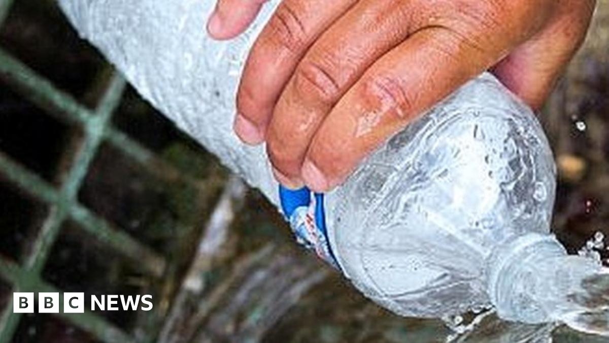 Namib Desert beetle inspires self-filling water bottle - BBC News
