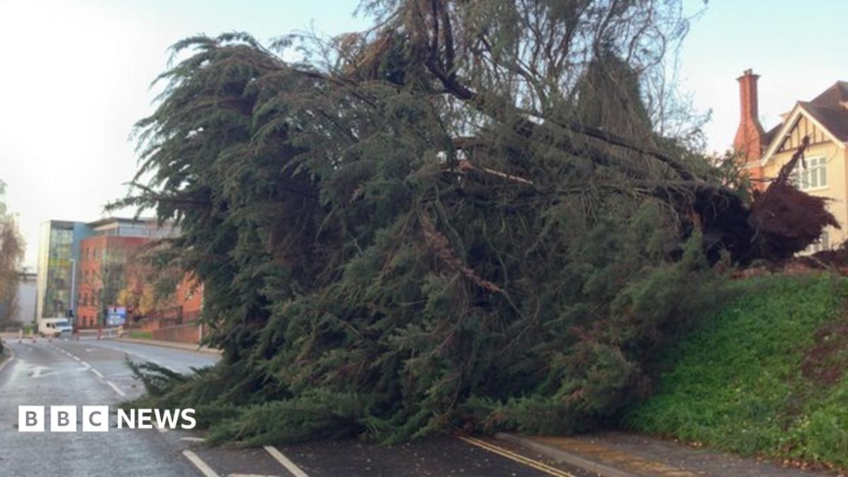 Storms: Two killed as wind and rain batter Britain - BBC News