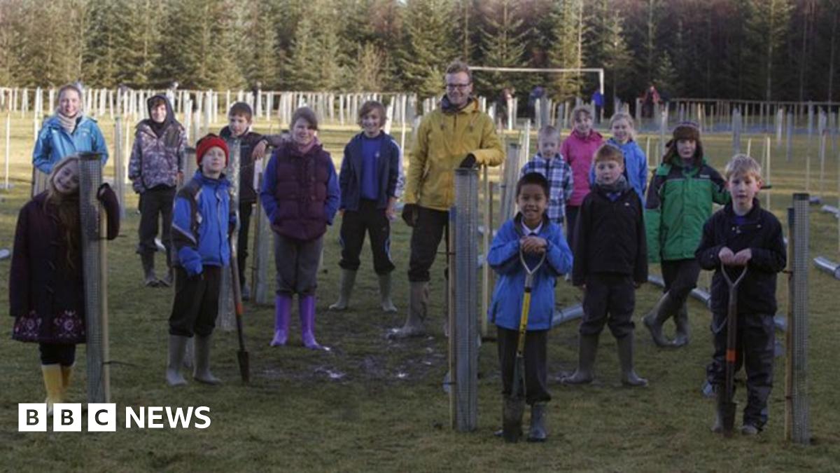 Selkirk Forest Pitch returns to nature - BBC News
