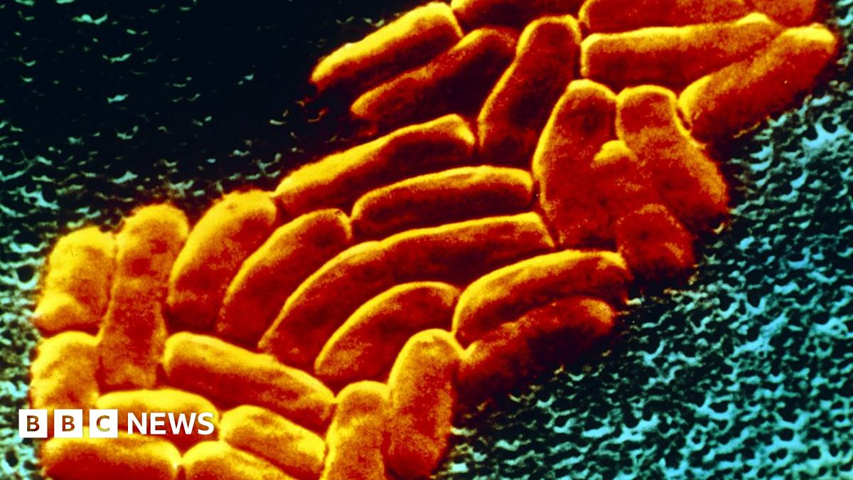 Battling the bacterial threat to modern medicine - BBC News