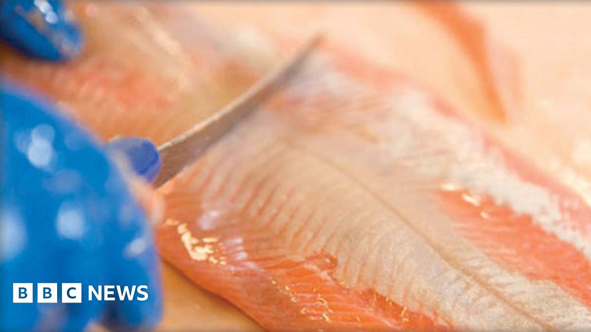 Norway's rakfisk: Is this the world's smelliest fish? - BBC News