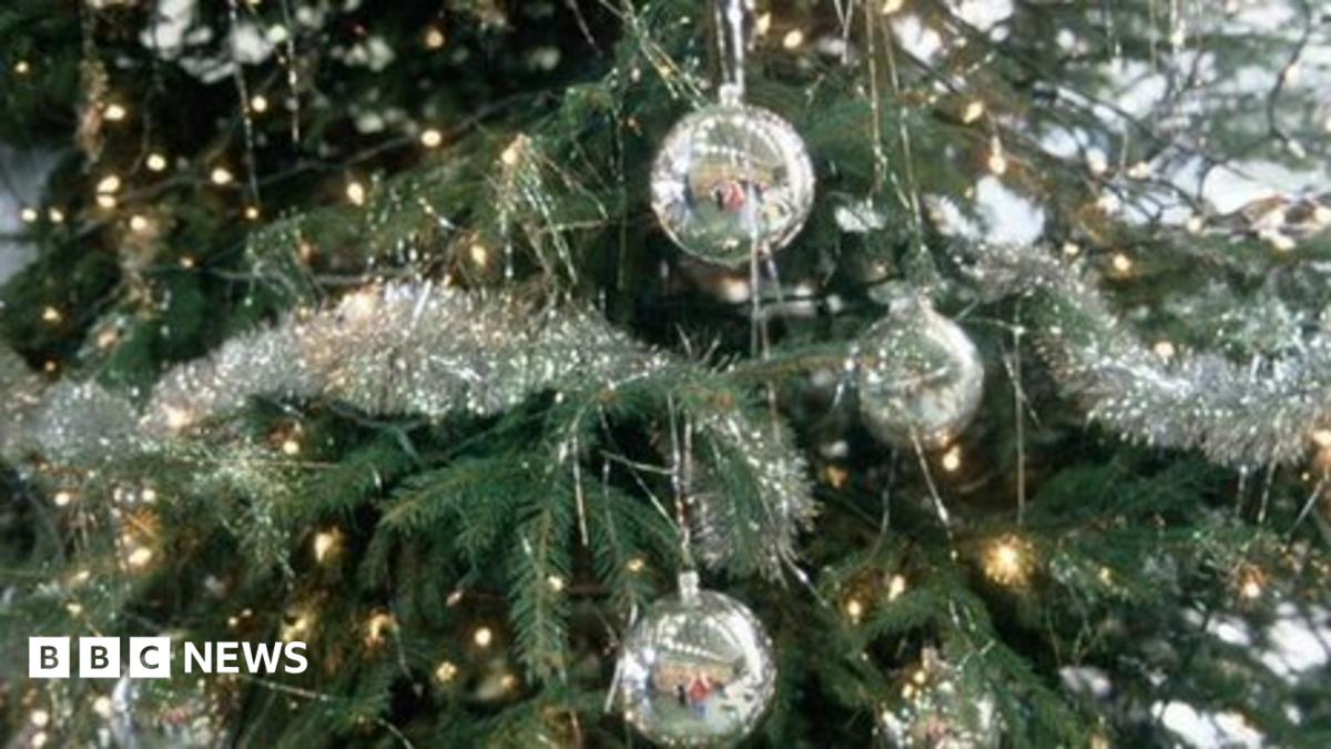 Stanley Christmas tree taken down over safety fears - BBC News