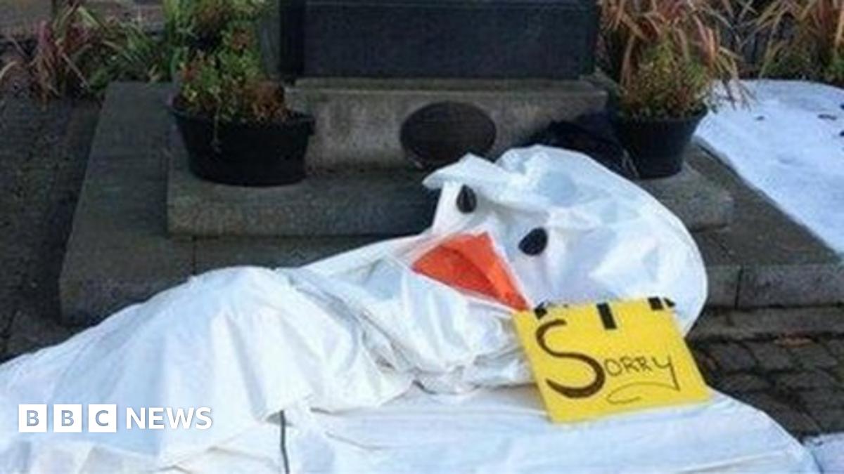 Irish town's missing snowman returned in deflated state - BBC News
