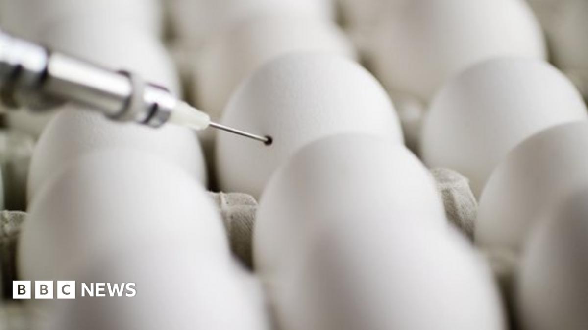 How the seasonal flu jab is made - BBC News