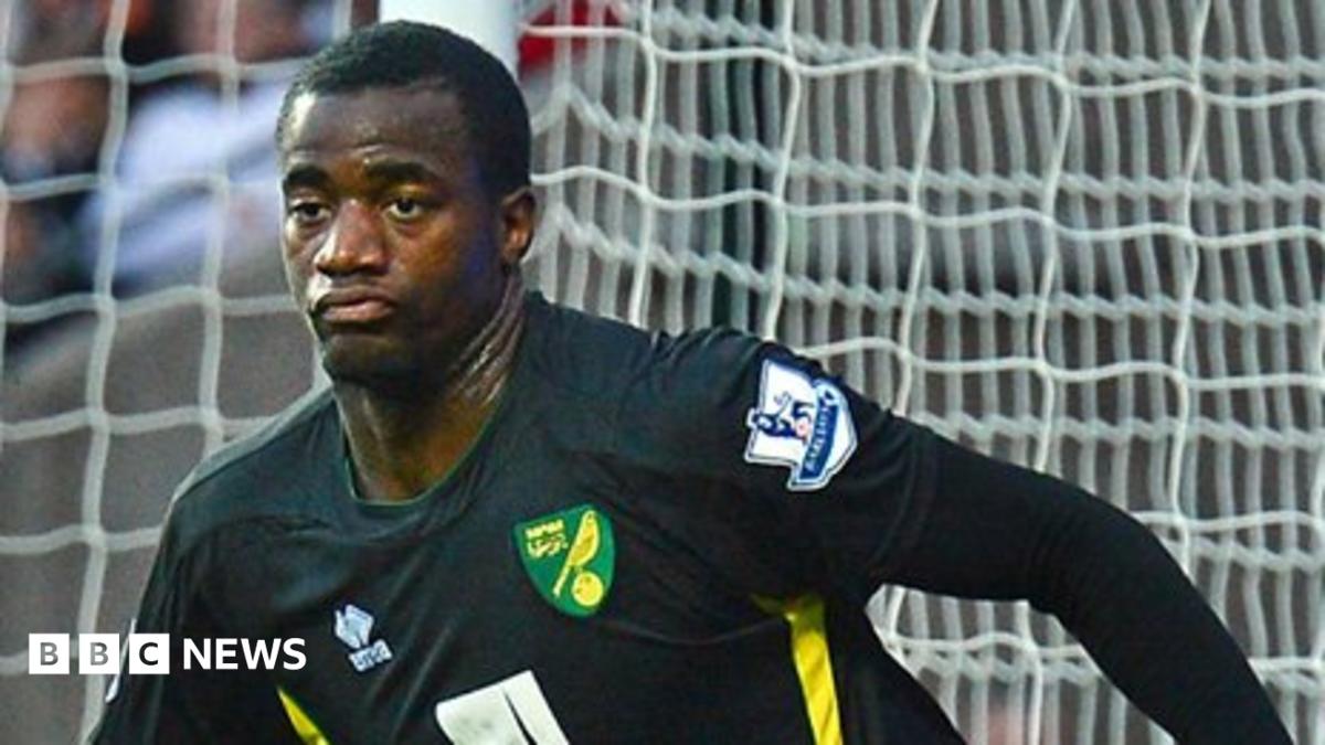 Sebastien Bassong race jibe: Man released on bail after questioning ...