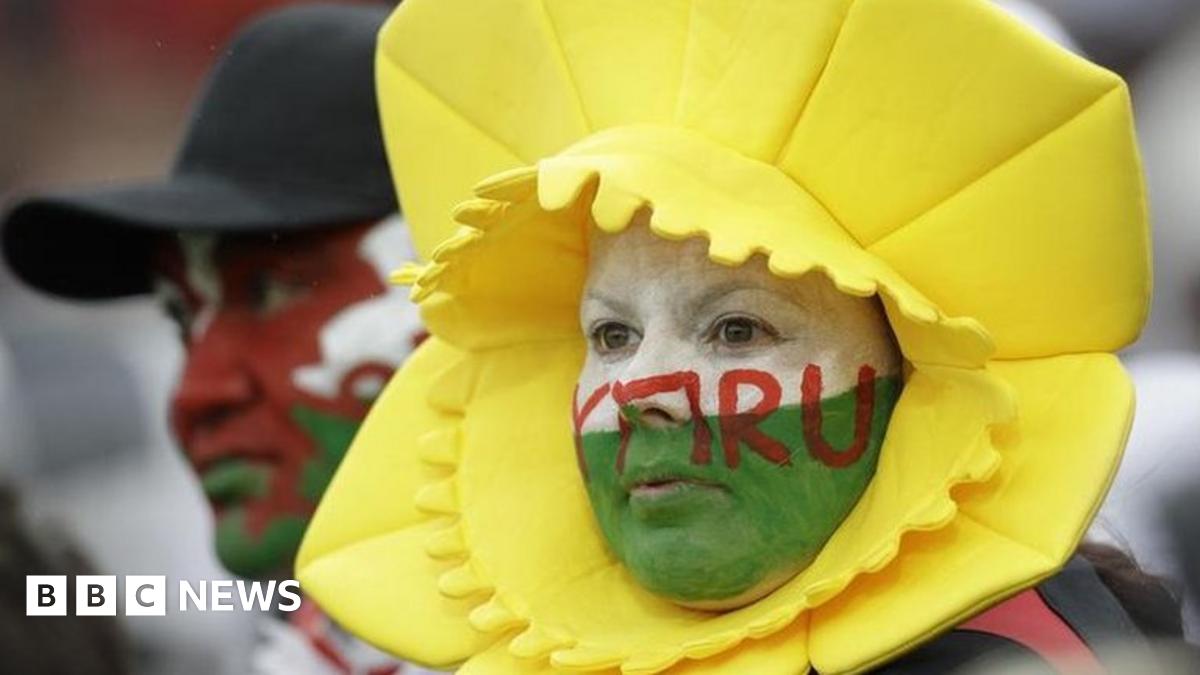2011 Census: Theories on the decline in Welsh language - BBC News