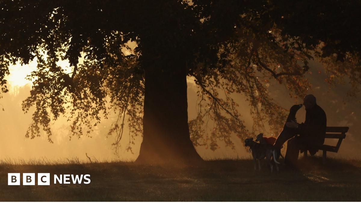 What is a quintessentially British park? - BBC News