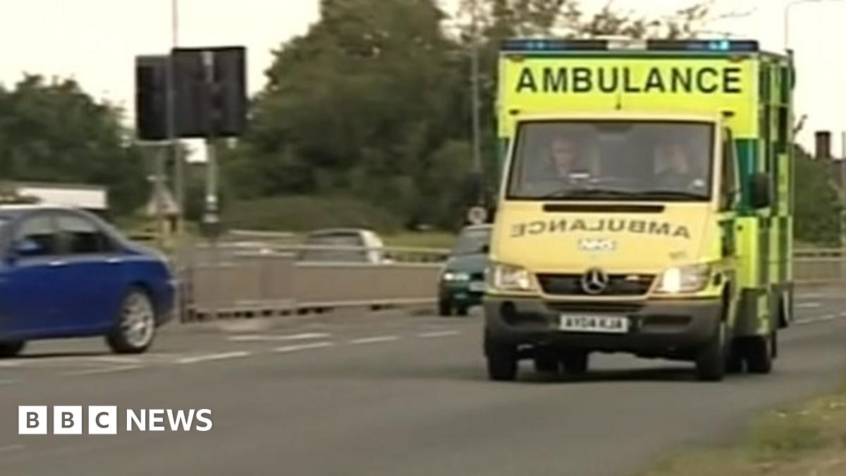 Crash on A14 at Sproughton injures man and kills horses - BBC News