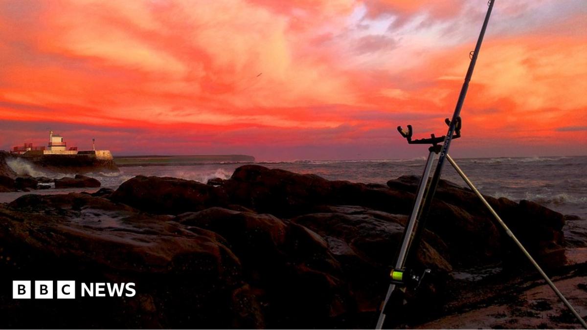 Your pictures of Scotland: 21 - 28 December - BBC News