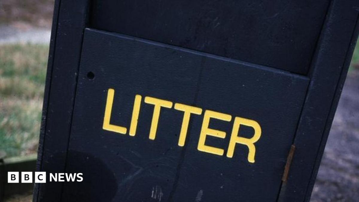 Torfaen council start litter fines with XFOR security - BBC News