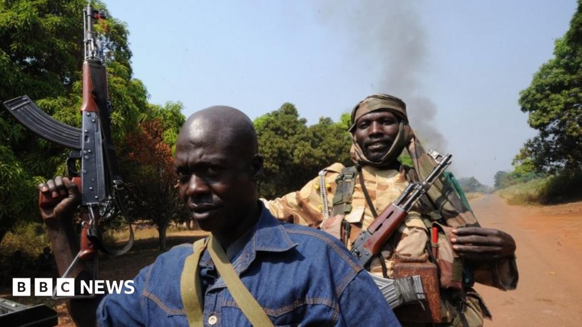 Central African Republic Seleka rebels 'seize' towns - BBC News