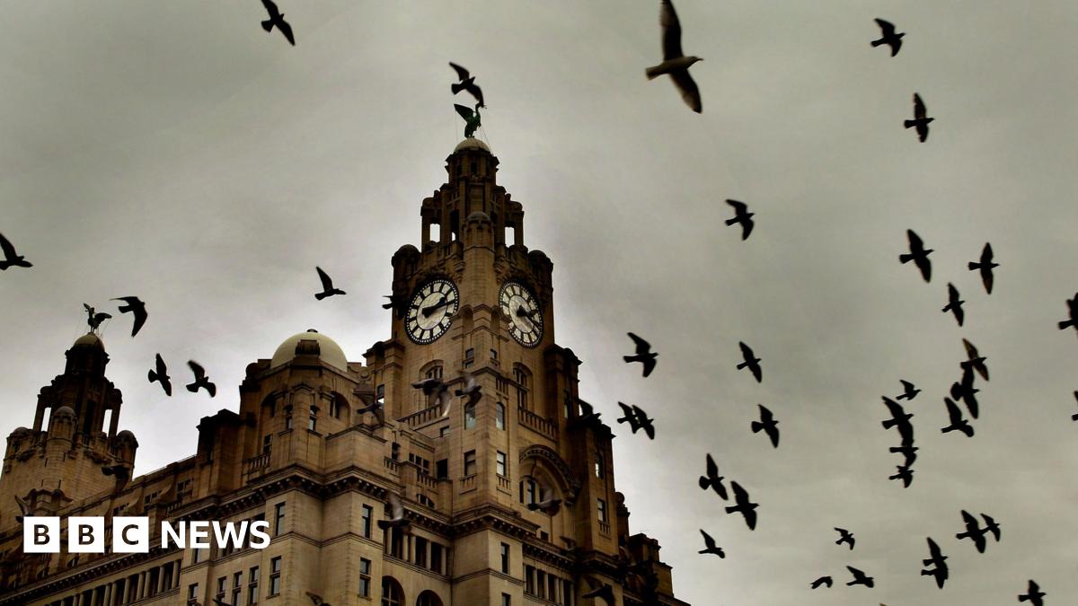 Birds make music with bum notes - BBC News