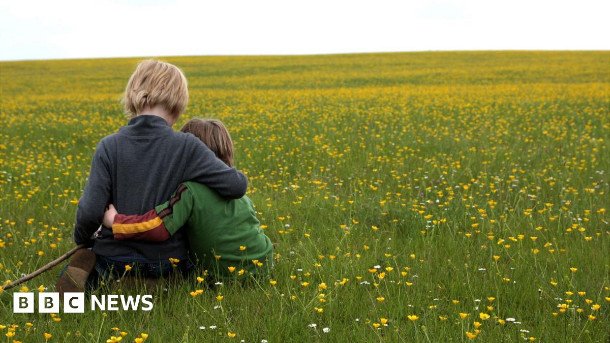 Jersey child protection service launched - BBC News