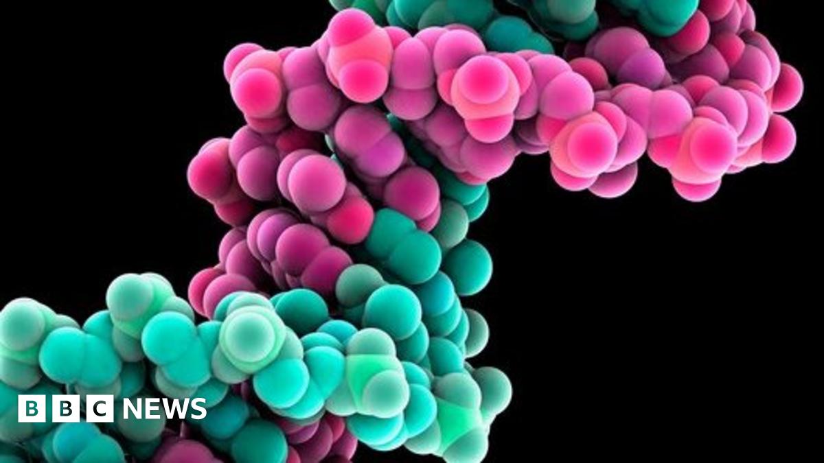 DNA 'perfect for digital storage' - BBC News