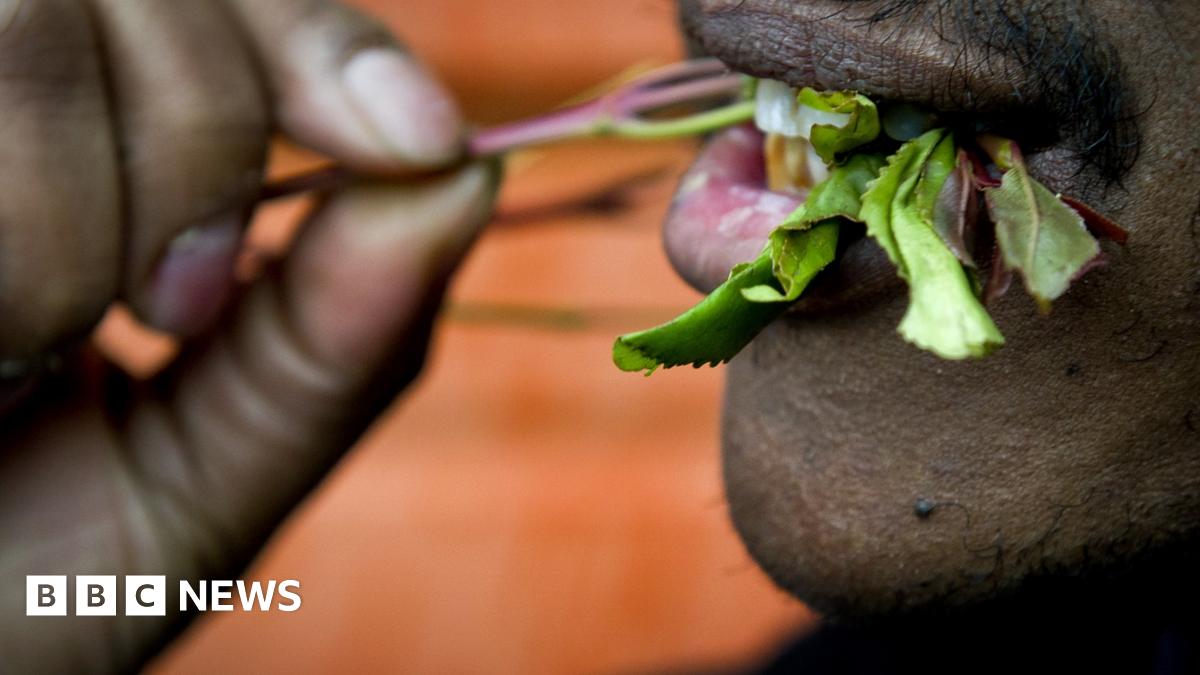 Herbal stimulant khat to be banned - BBC News