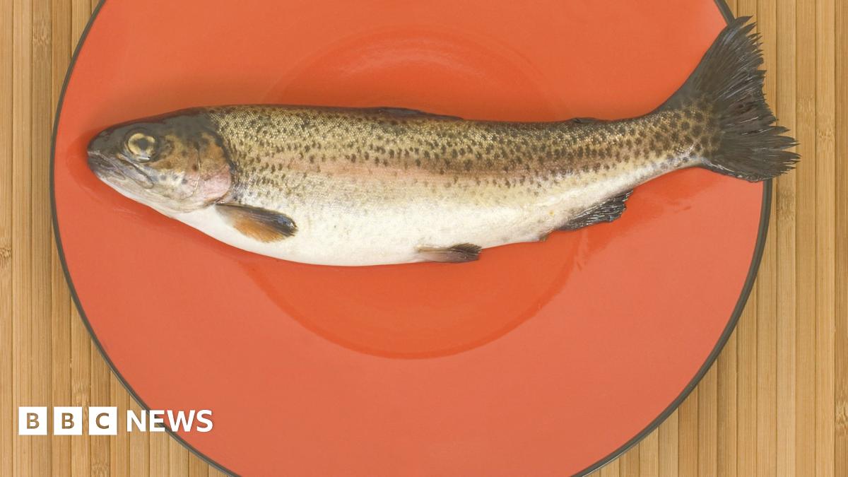 7 questions on sustainable fish - BBC News