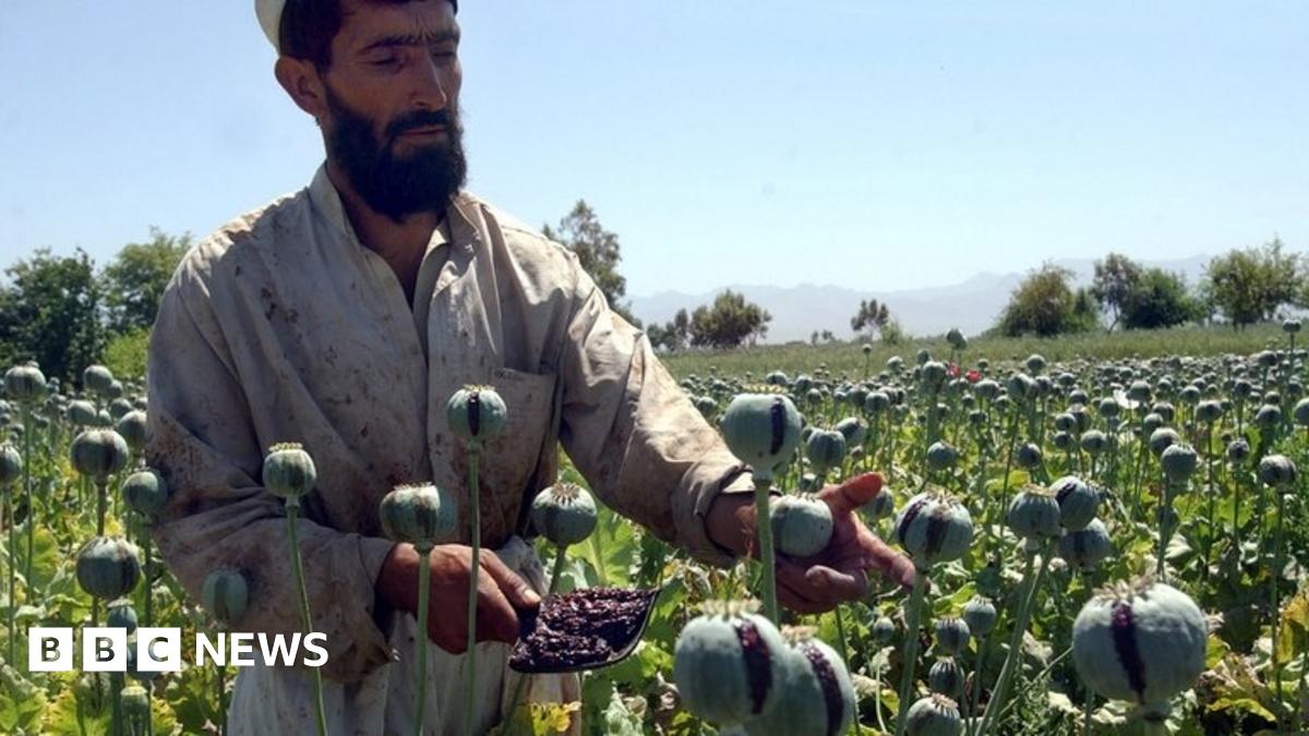 US blacklists Afghan airline accused of smuggling opium - BBC News