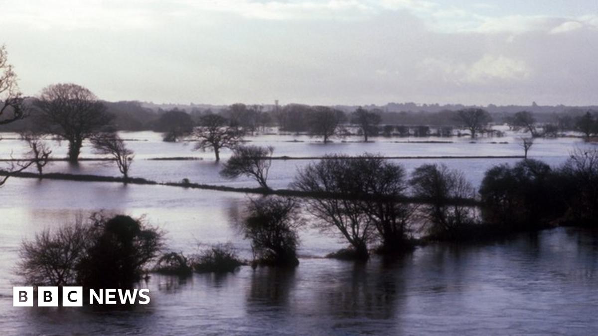 Flood warnings for Dorset after heavy rain - BBC News