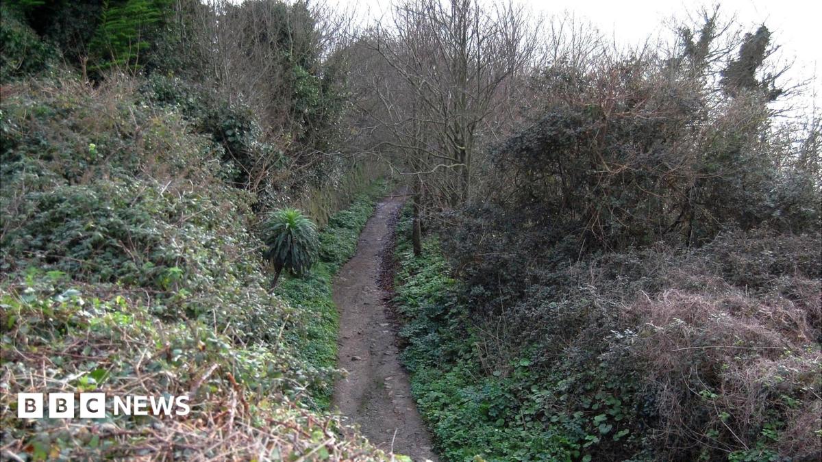Guernsey cliff path closed due to landslip - BBC News