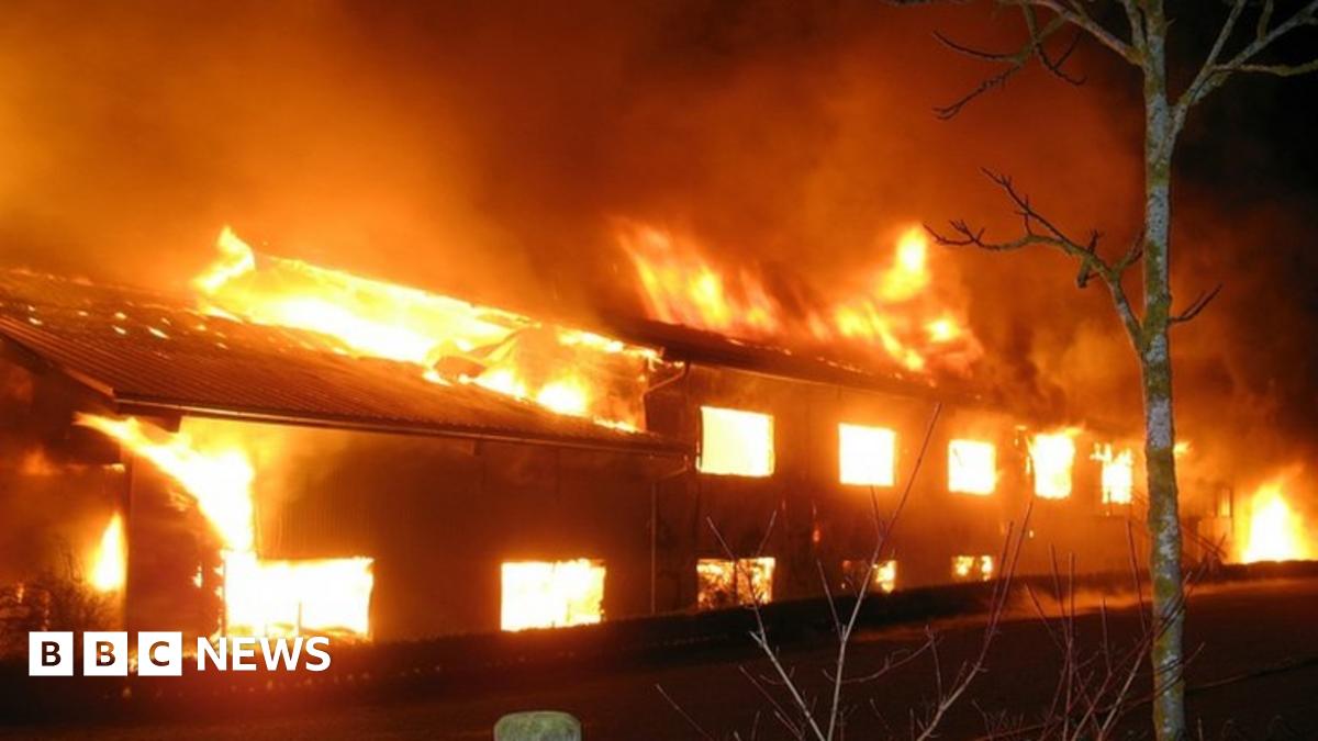 Fire carnage at Black Forest camel farm in Germany - BBC News