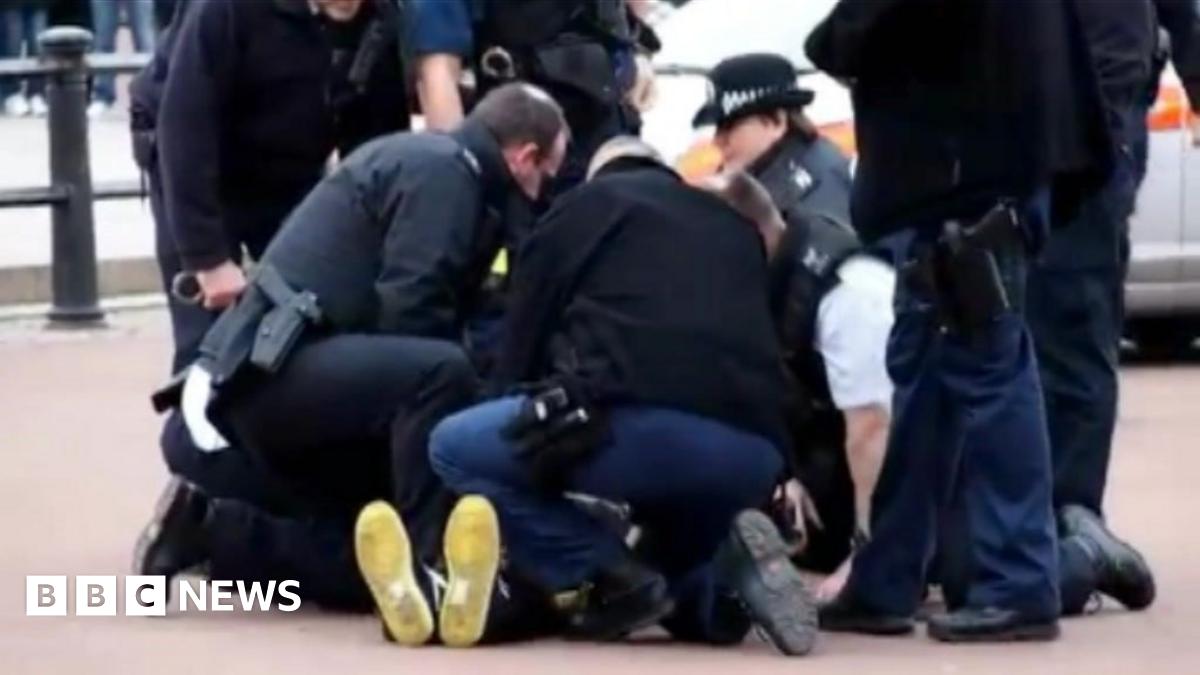 Taser gun used on man with knives outside Buckingham Palace - BBC News