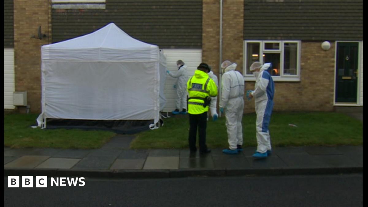Tina Casey 'murdered over grandson access fear' - BBC News