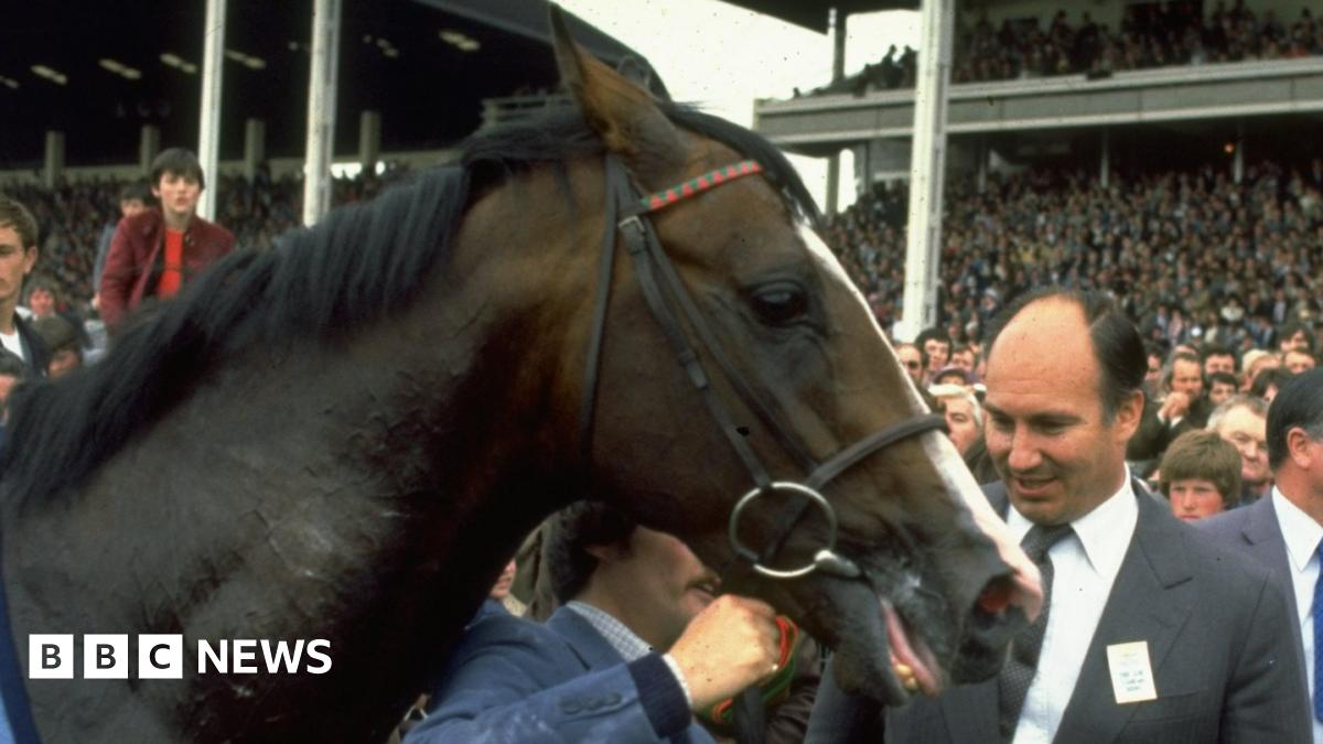 Shergar: The day the wonder horse was stolen - BBC News