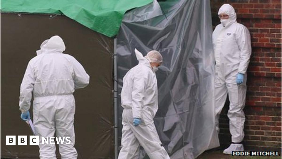 Hove murder: Heavy object killed homeless Lee Williams - BBC News