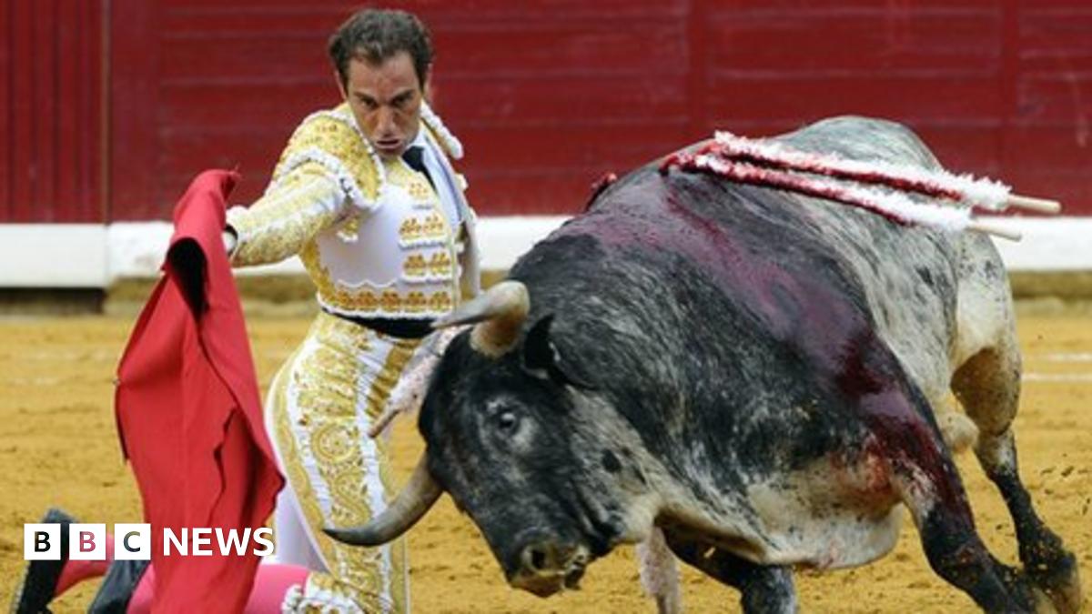 Spain moves to give bullfighting special cultural status - BBC News
