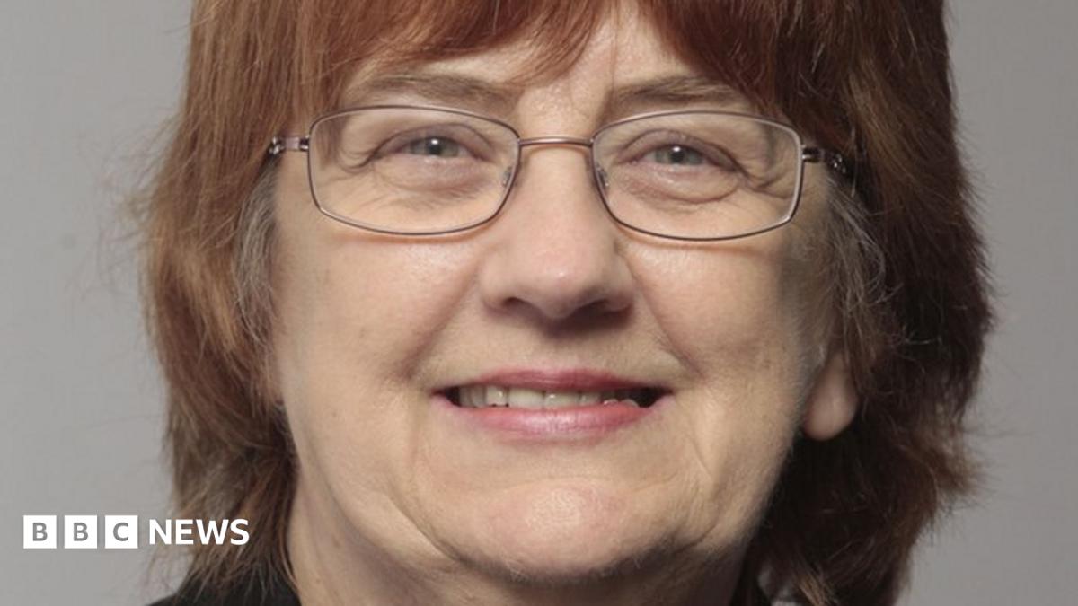 Anna Dyer sues Labour Party over sex and age discrimination claims ...
