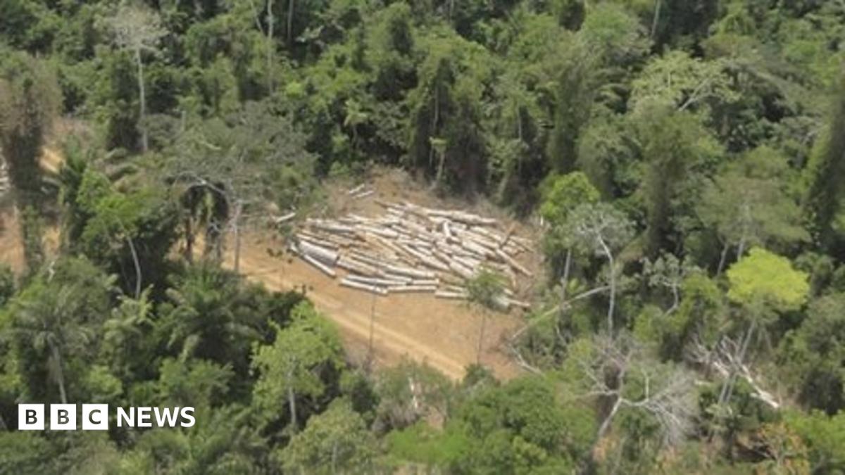 Charity reaches rainforest goal - BBC News